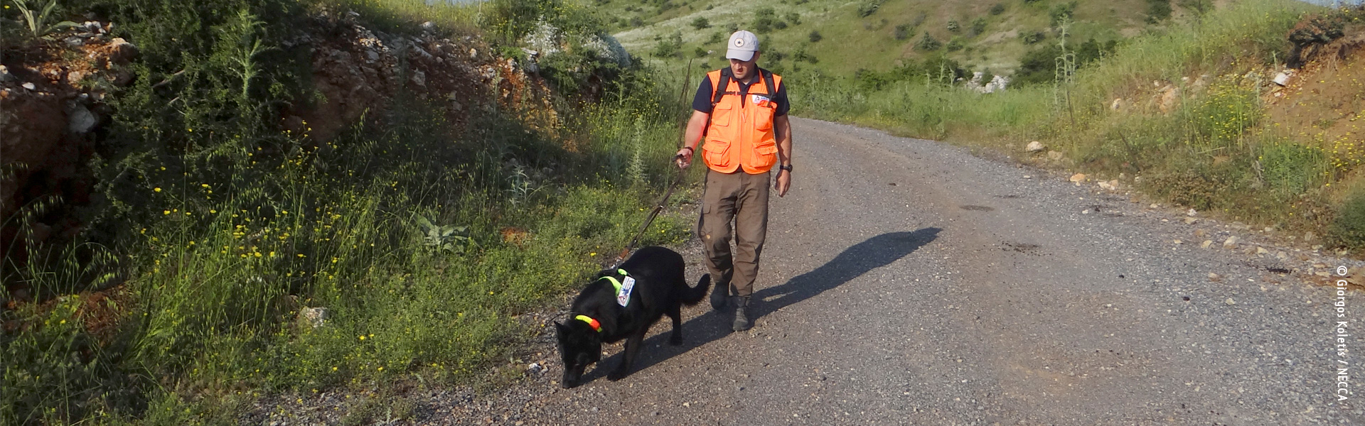 Information – Awareness Campaign – Antipoison Necca